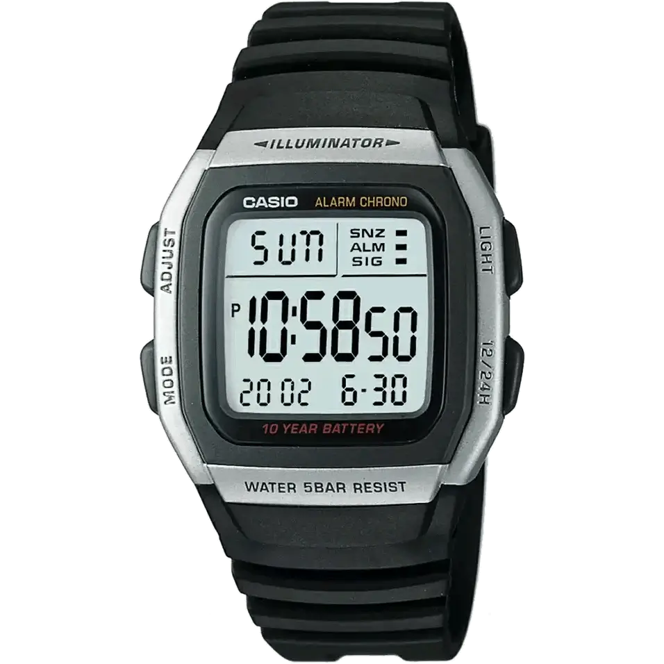 Casio D031 W-96H-1AVDF Youth – The Watch Factory