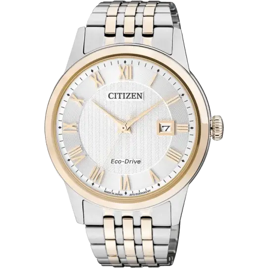 Citizen AW1234-50A Men Watch – The Watch Factory